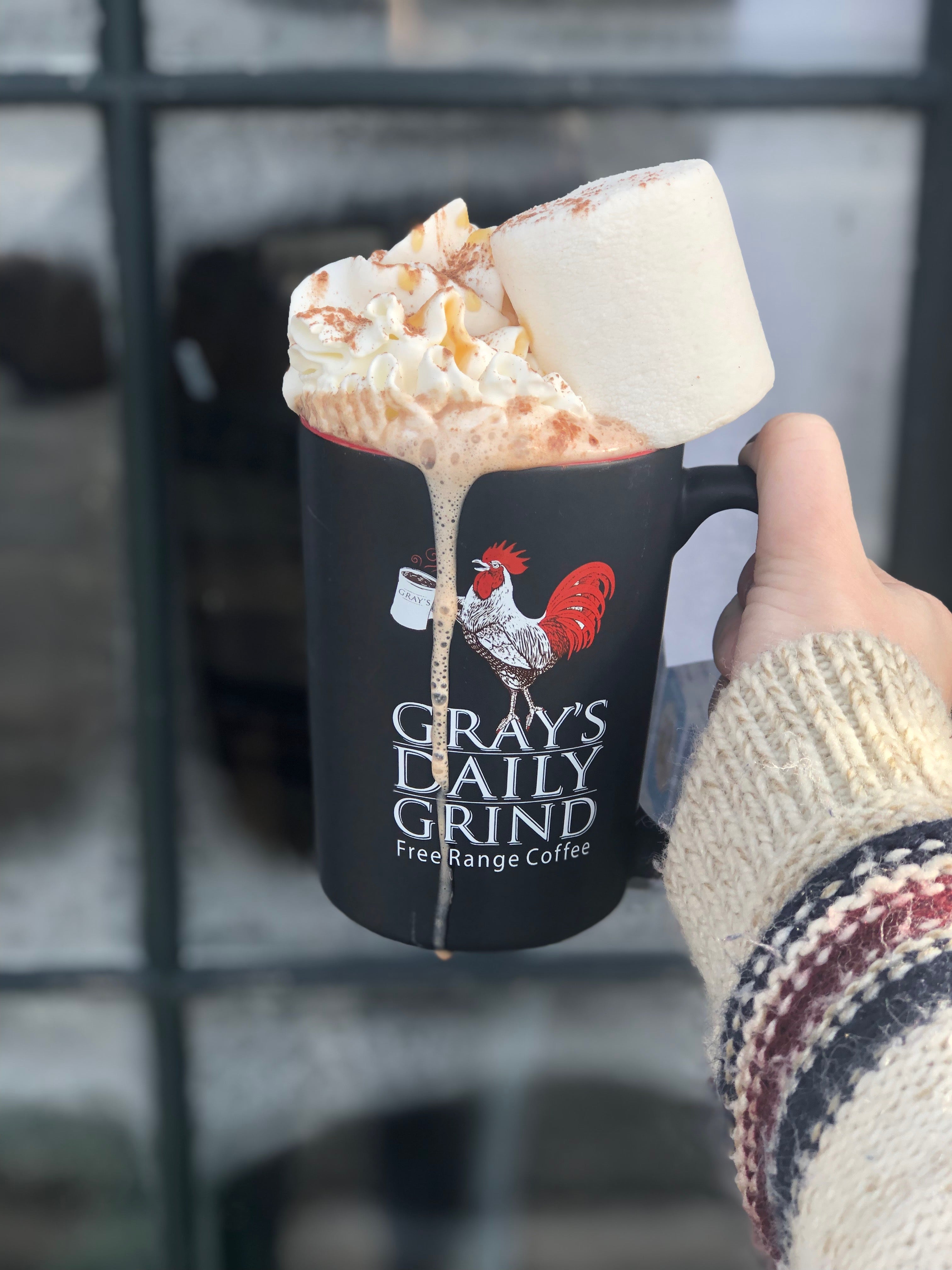 Hot Chocolate | Gray's Daily Grind